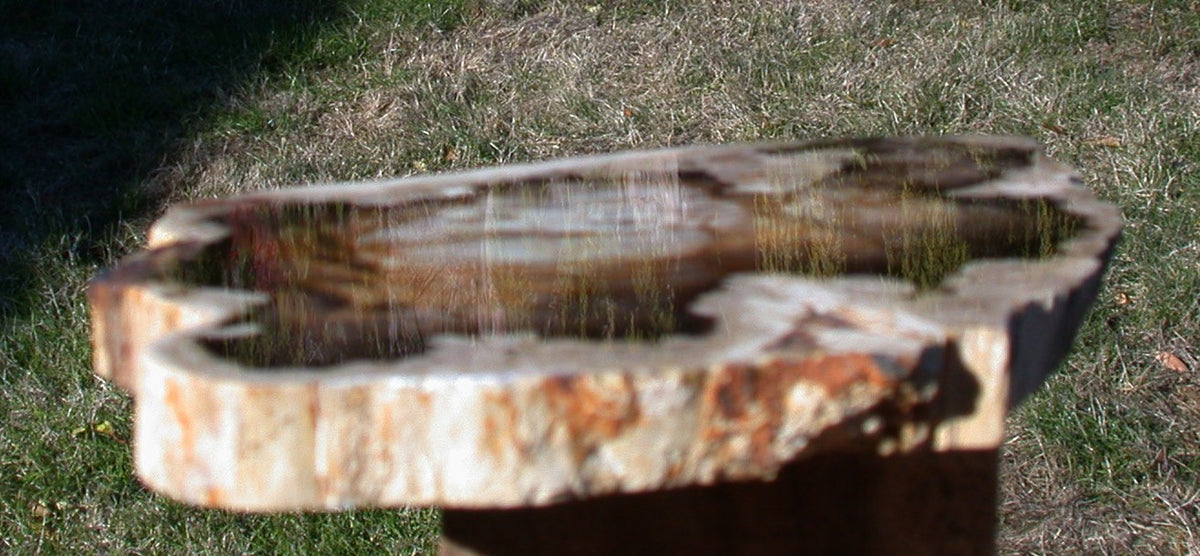SiS: MAGNIFICENT PORCELAIN LIKE 7"+ Saddle Mtn., Wash. Petrified Wood ...