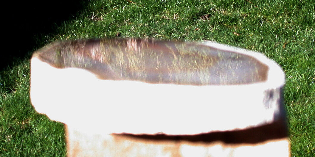 SiS: Porcelain Polished Petrified TREE FERN slab - BEAUTIFUL Orange He ...