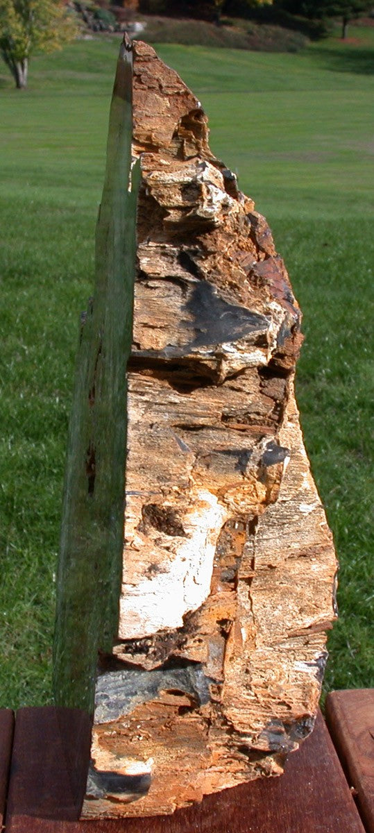 SiS: MY FINEST 12" Hubbard Basin Petrified Wood Sculpture STUNNING ART ...