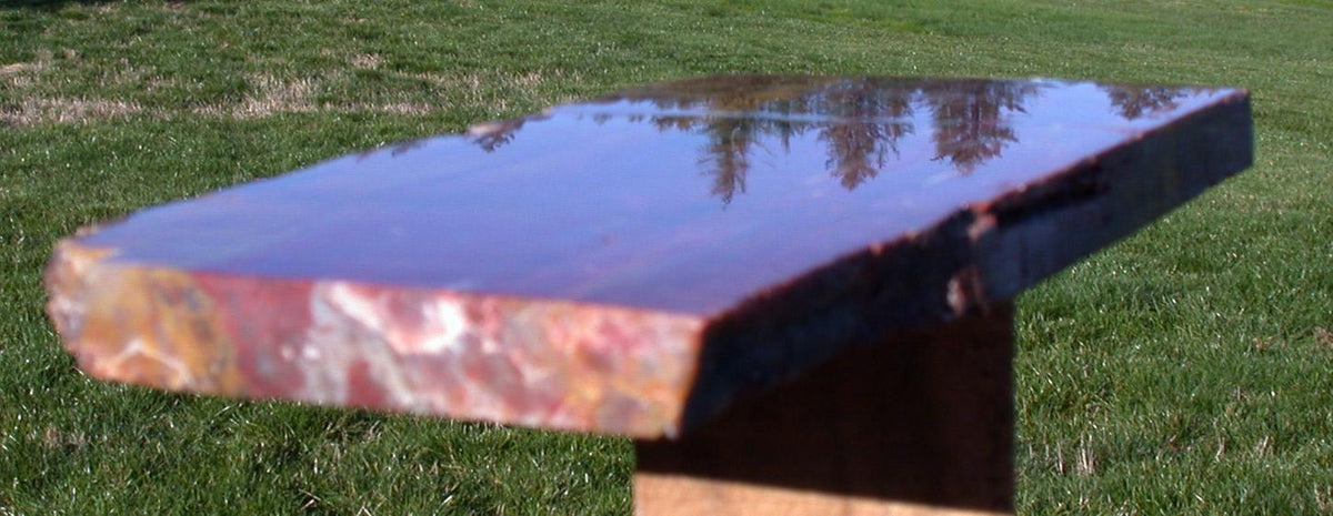 GLORIOUS 13" Arizona Rainbow Petrified Wood Slab - Stunning RIP CUT Pl ...